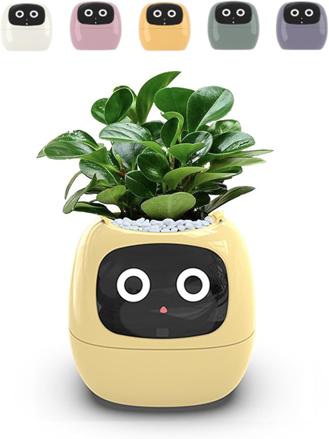 Amazon.com: FUWKAIZS Smart Plant Pot,Smart Pet Planter,Smart Pet ...