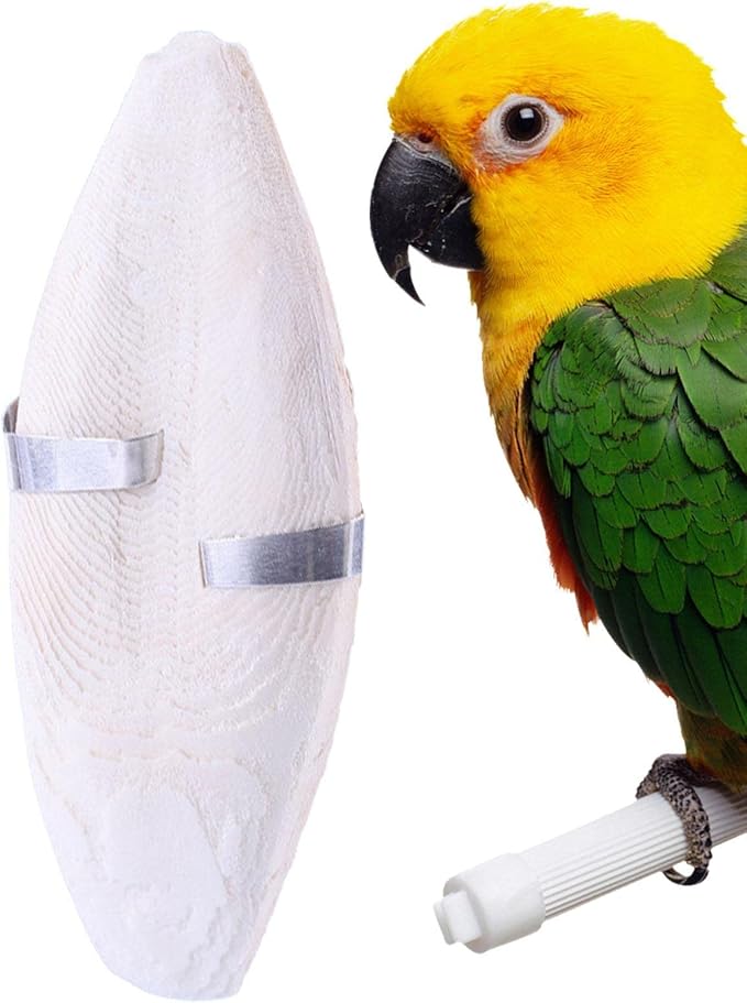 Shichangda Bird Cuttle Bone | Cuttlebone for Birds, Tortoises, Snails ...