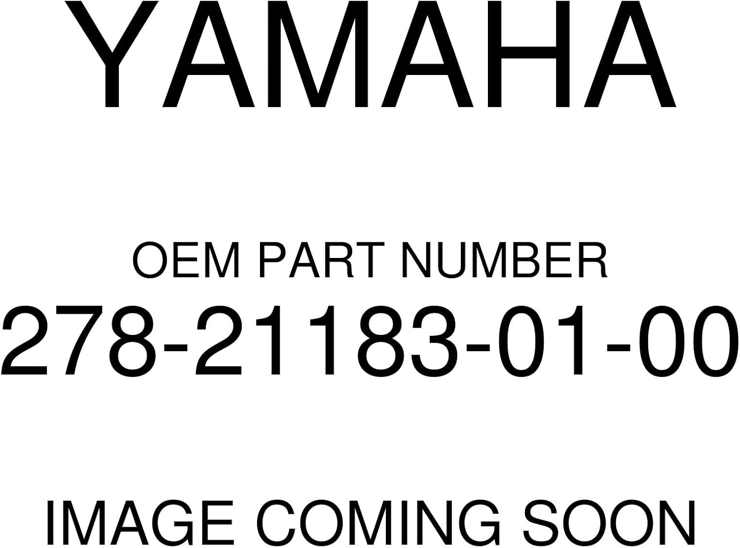 Amazon.com: Yamaha 278-21183-01-00 Plate; 278211830100 Made by Yamaha ...