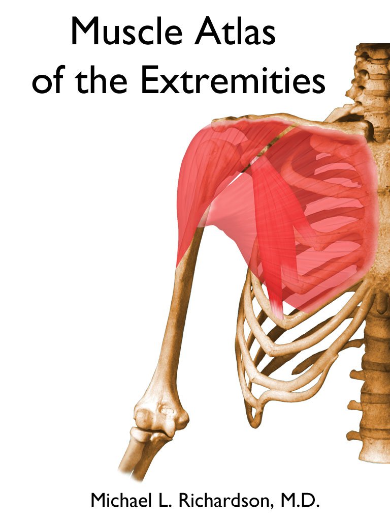 Amazon.com: Muscle Atlas of the Extremities eBook : Richardson, Michael ...