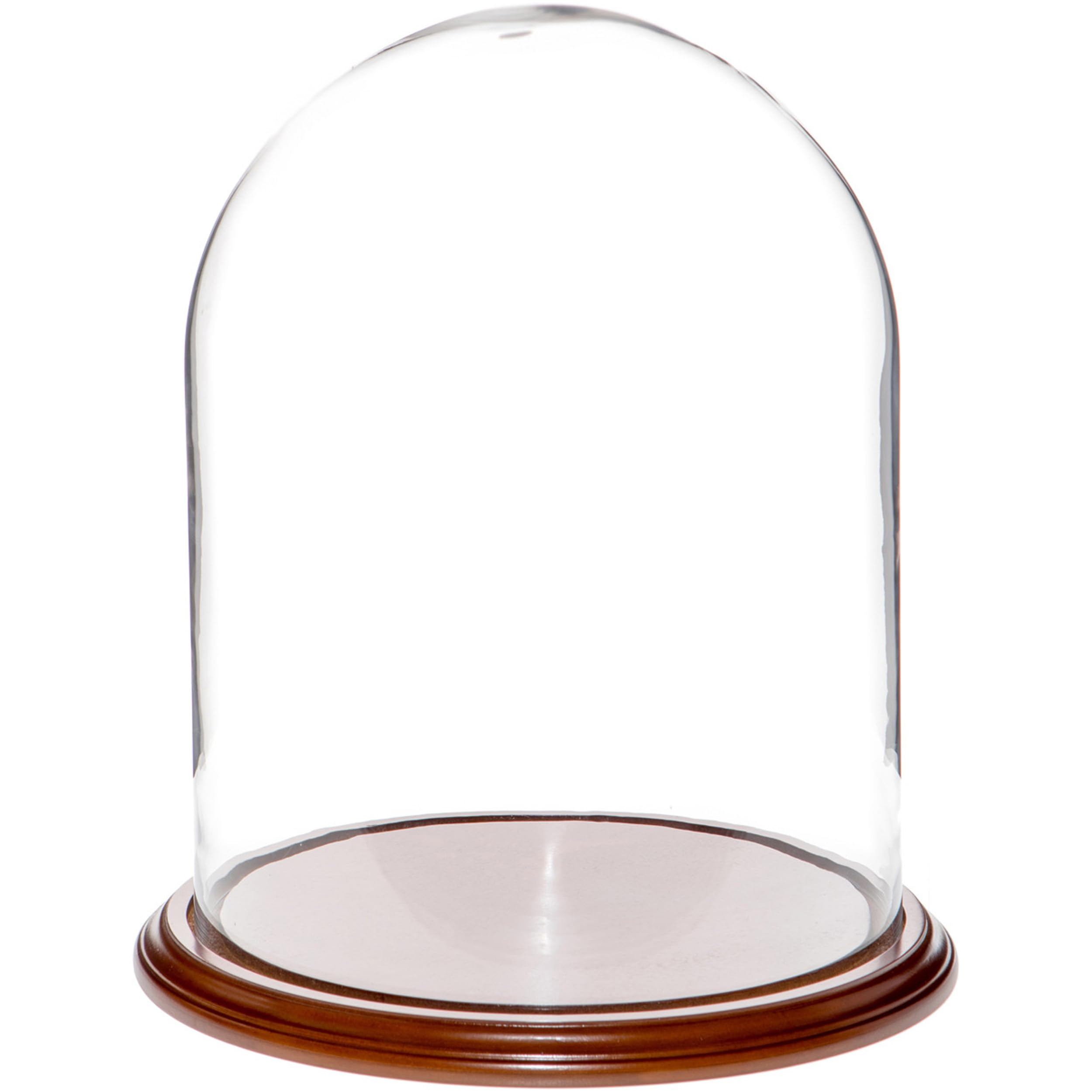 Amazon.com: Plymor 11.75" x 15" Glass Display Dome Cloche (Walnut ...