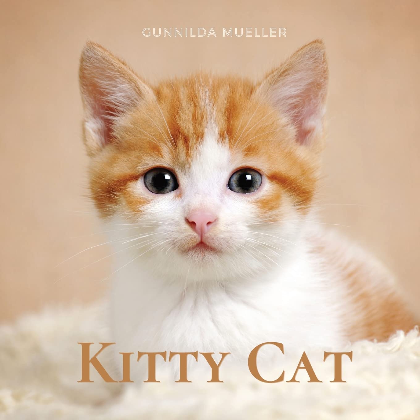 Snapklik.com : Kitty Cat: Kittens Picture Book For Dementia And ...