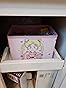 Amazon.com: NocksyDecal Sailor Moon Storage Bins Boxes Set, Anime ...