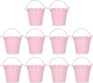 Amazon.com: 10PCS Flower Pot, Mini Succulent Plant Pot, Metal Flower ...