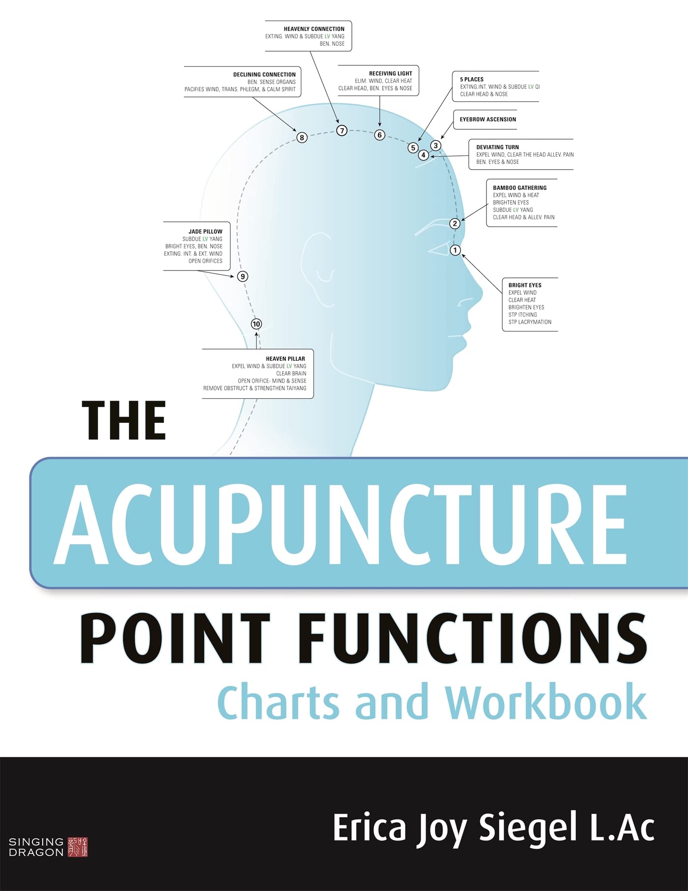 The Acupuncture Point Functions Charts and Workbook: 9780857013903 ...