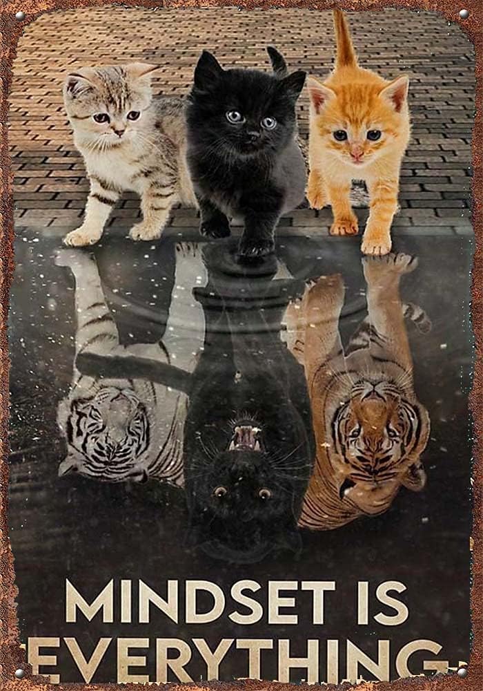 Amazon.com: (24 x 36) Cats of the World - Felines Poster: Cat Breeds ...