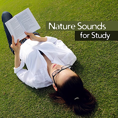 Play Nature Sounds for Study by Studying Music on Amazon Music