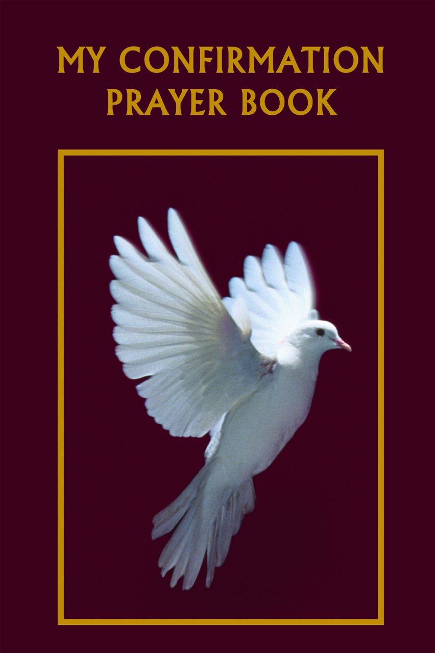 My Confirmation Prayer Book: Bart Tesoriero: 9781936020034: Amazon.com ...