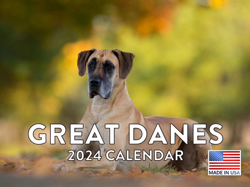 Amazon.com: Great Dane Calendar 2024 Wall Calander Monthly 12 Month ...
