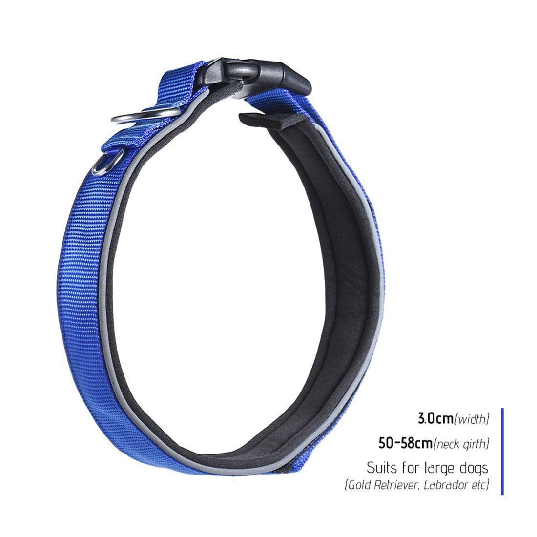 Buy Strong Durable Dog Collar Durable Dog Collar Dual D-Ring Nylon ...