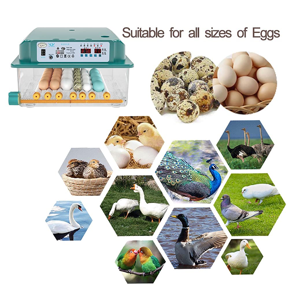 Hethya Incubators for Hatching Eggs Automatic Turner 36 Eggs Home ...