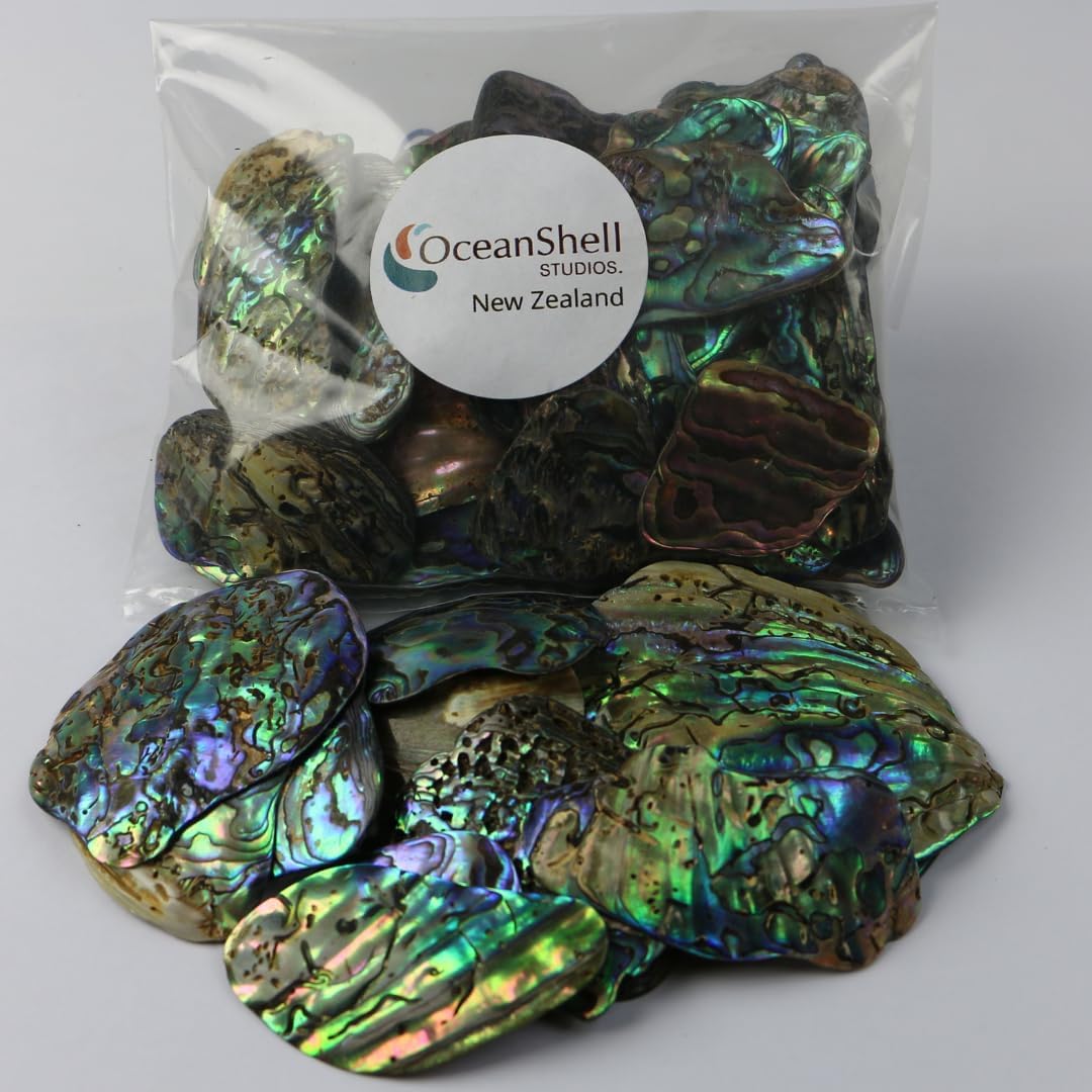 Amazon.com: Abalone (Pāua) Shell Pieces-2.65oz Pack-for Crafts, Jewelry ...