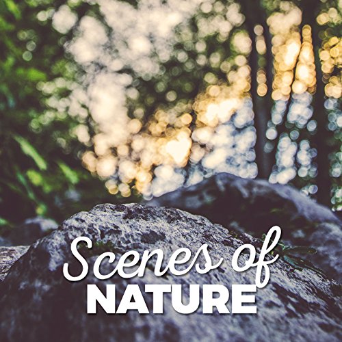 Amazon.co.jp: Scenes of Nature : Nature Sound Series: Digital Music