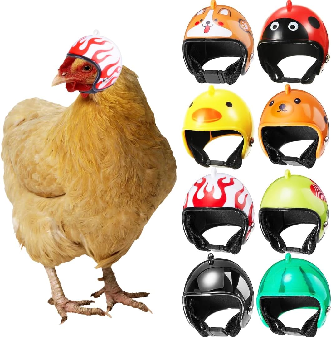 Amazon.com : 8 Pieces Hens Helmet Chicken Helmet Pet Safety Helmet ...