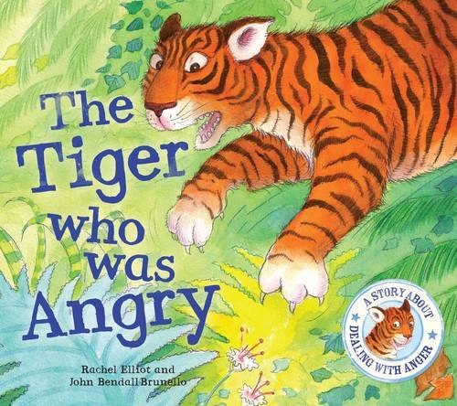 The Tiger Who Was Angry (When I Was...): Amazon.co.uk: Elliot, Rachel ...