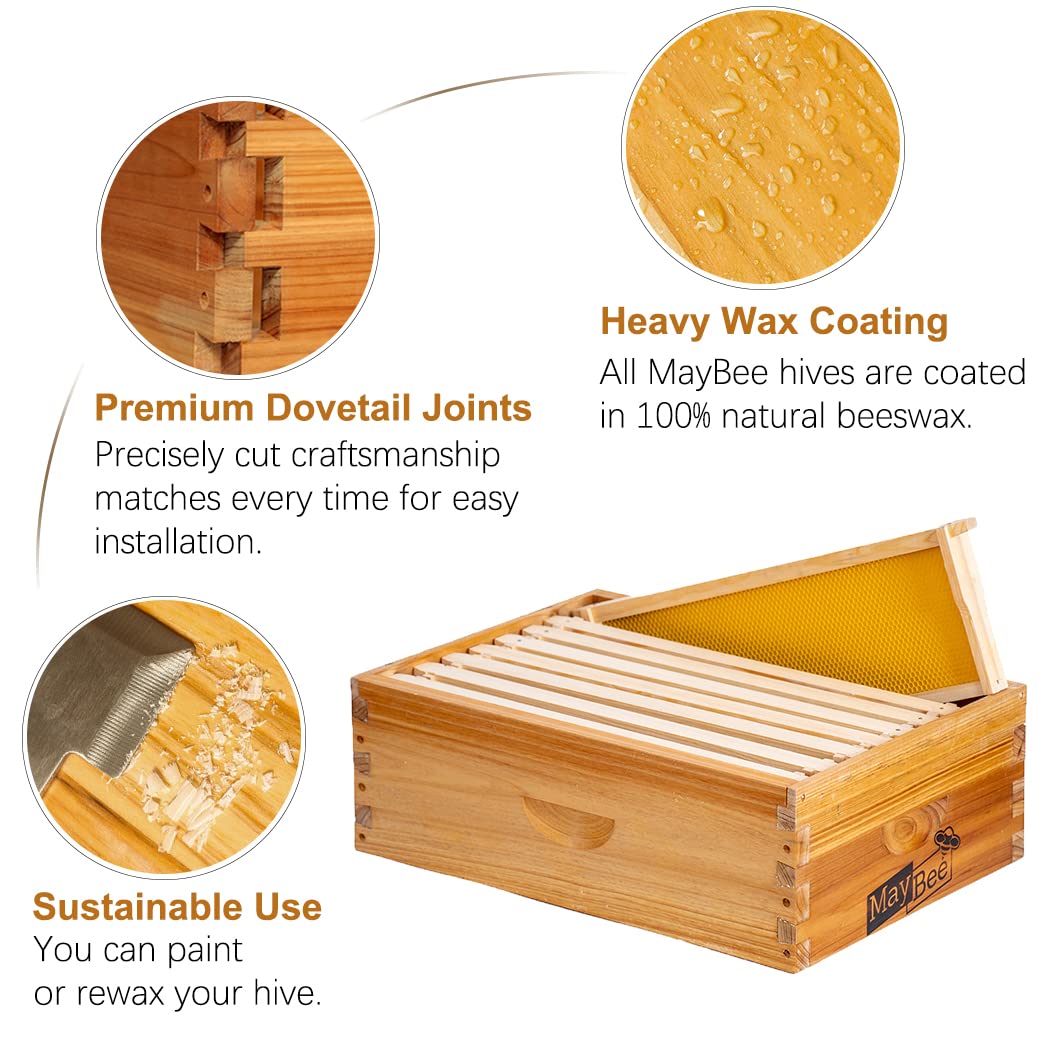 Langstroth Medium Super Bee Box with Frames & Nepal | Ubuy