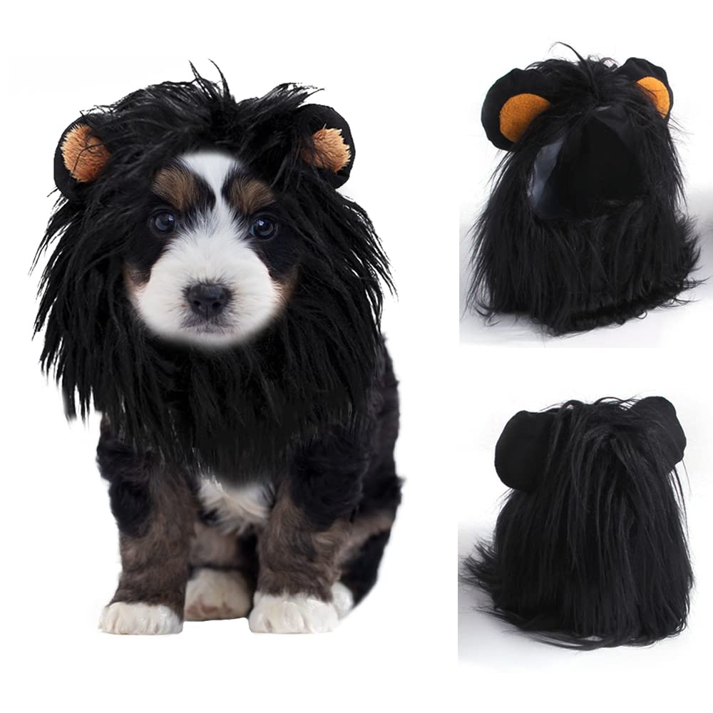 Vampires With Animal Ears