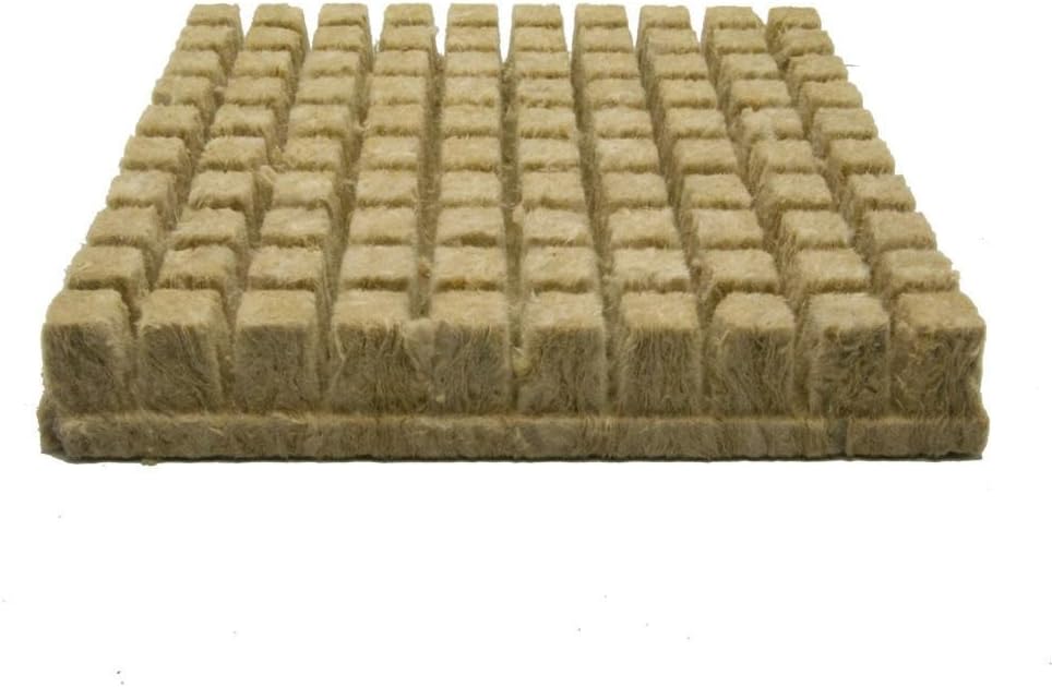 Amazon.com : Grodan Rockwool Cubes, Indoor Gardening and Seed Starting ...