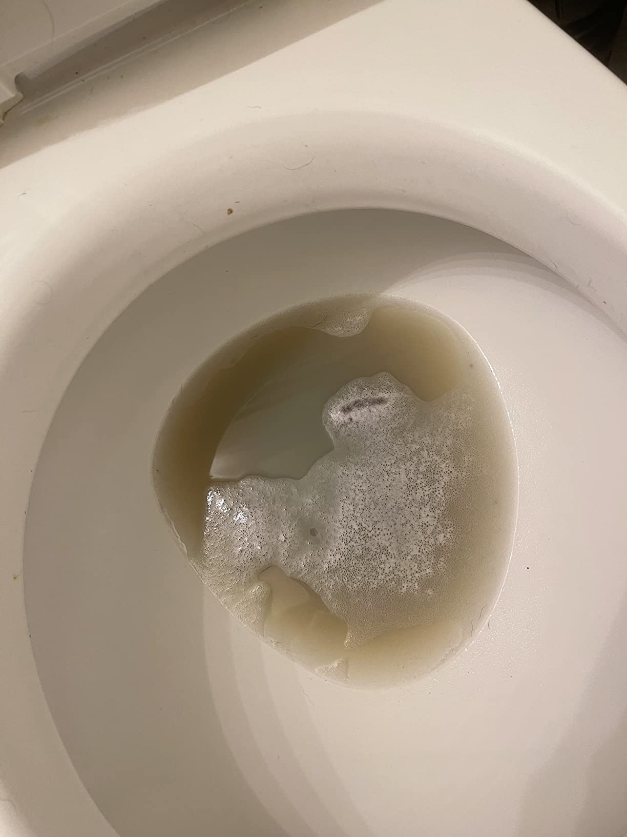 $6/mo - Finance Calyptus All Purpose Concentrated Enzyme Cleaner ...