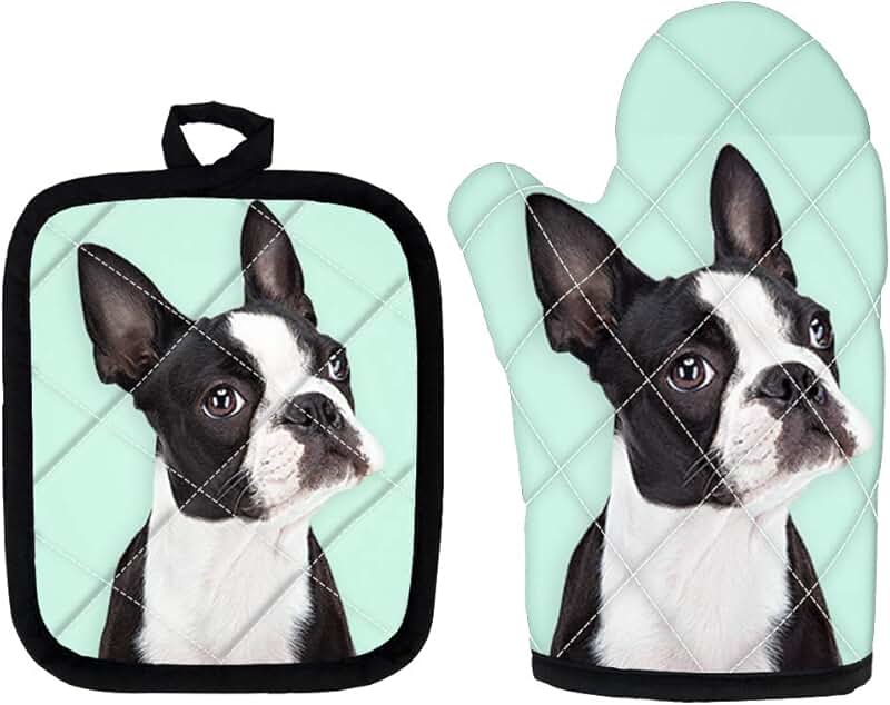 Amazon.com: boston terrier gifts