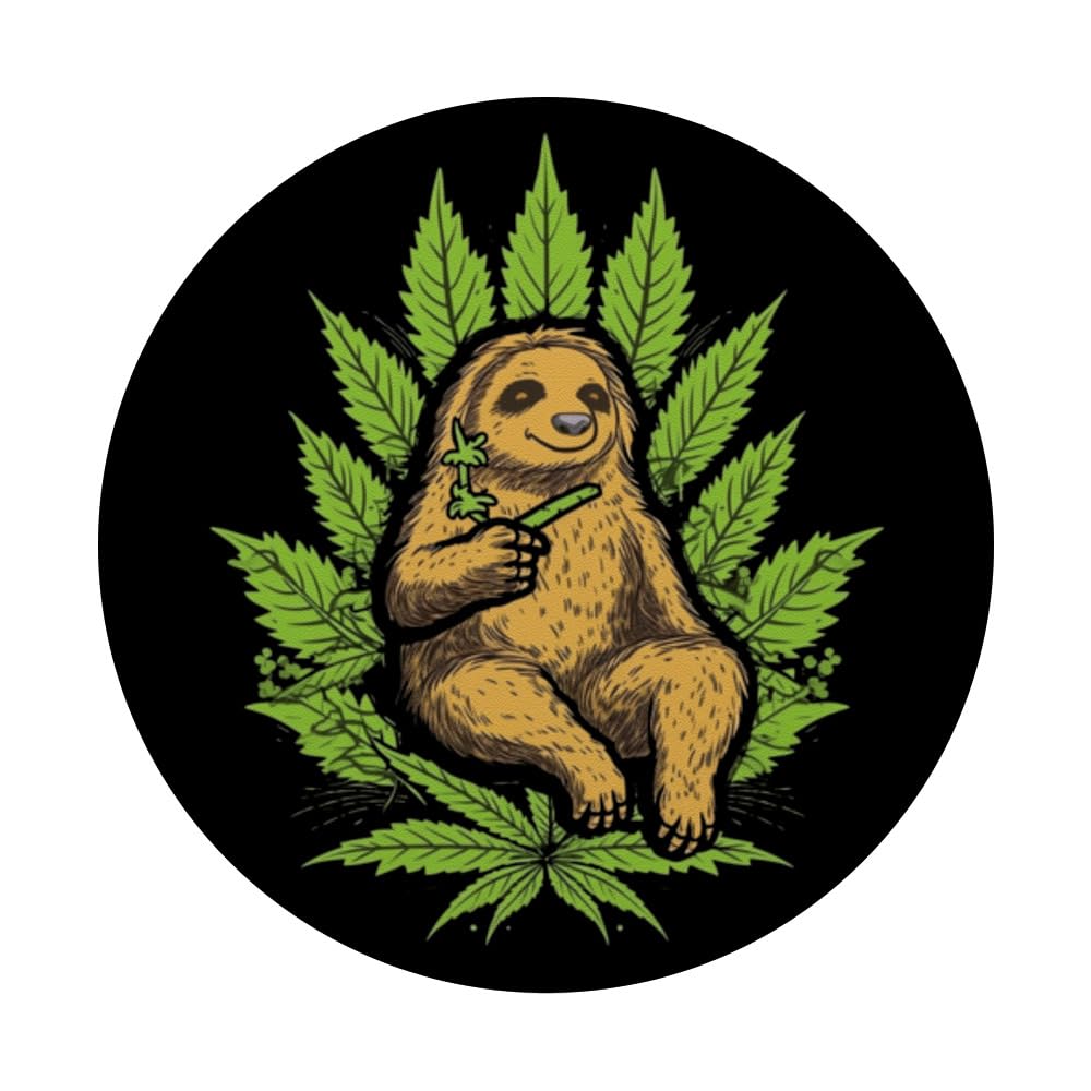 Weed Sloth Memes DIY Stoner Room Decoration: 10 Stoner Room Essentials