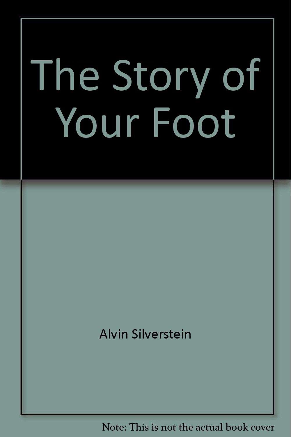 The Story of Your Foot: Alvin Silverstein, Virginia B. Silverstein ...
