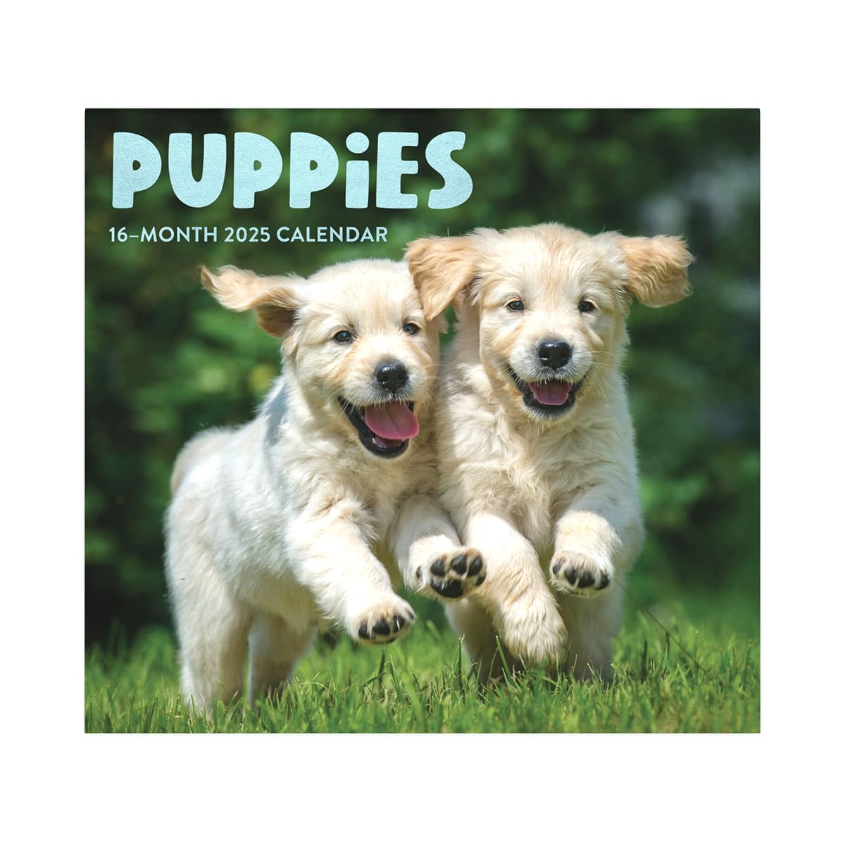 Amazon.com: Puppies 2025 Full Size Wall Calendar for Planning ...