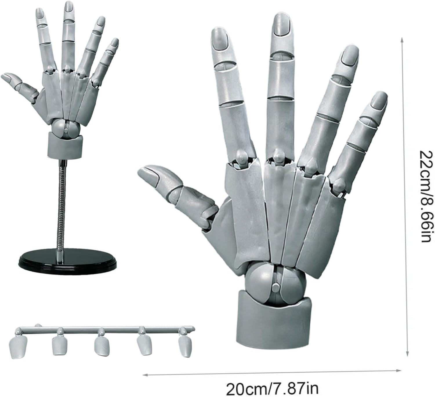 Hand Model 1:1 Articulated Mannequin Hand Moveable Australia | Ubuy