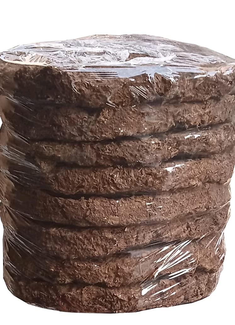 SKUMAR Cow Dunk Cake (300 g) : Amazon.in: Grocery & Gourmet Foods