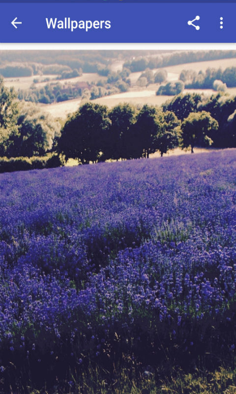 Wallpapers and Backgrounds:Amazon.com:Appstore for Android