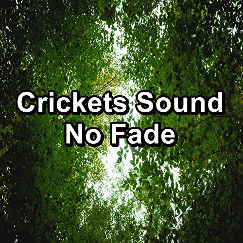 Amazon MusicでNature Noise, Cricket Sounds & Sleep CricketsのCrickets ...