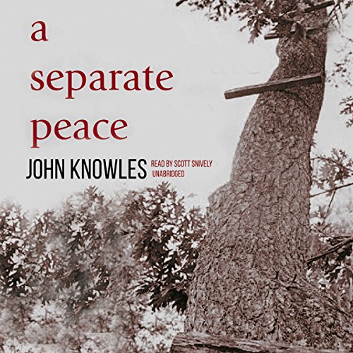 Amazon.com: A Separate Peace (Audible Audio Edition): John Knowles ...