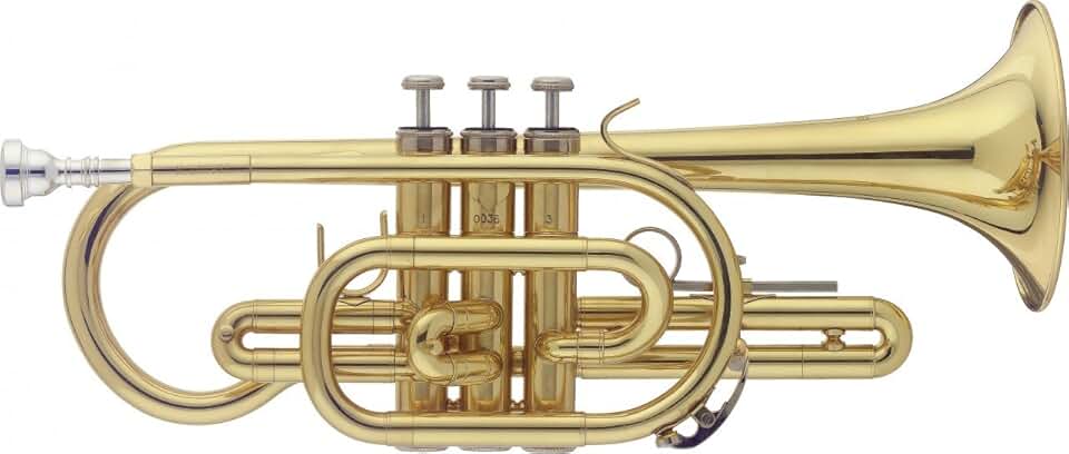 Amazon.com: Cornets - Cornets / Brass Instruments: Musical Instruments