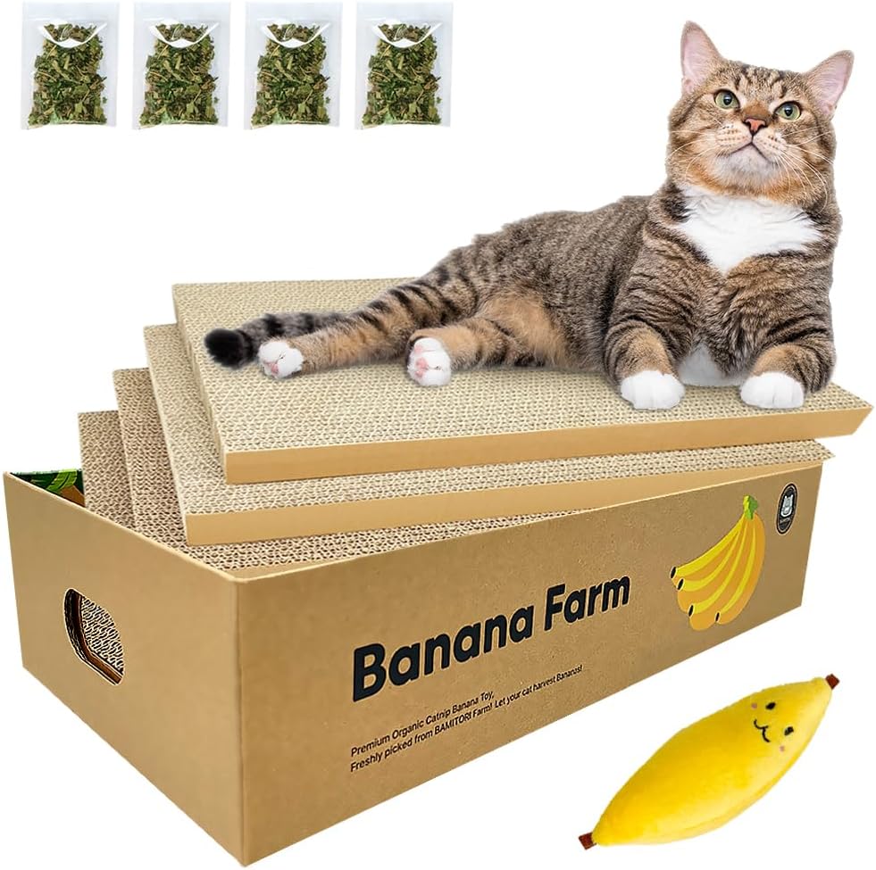 Amazon.com : Banana Cat Scratcher Cardboard, Scratch Pad with Cat ...