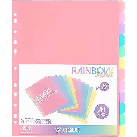 Viquel - Set of 6 Plastic Dividers Rainbow Pastel – Maxi Format (24.5 x ...