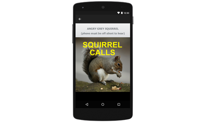 Squirrel Calls & Squirrel Sounds for Squirrel Hunting - App on Amazon ...