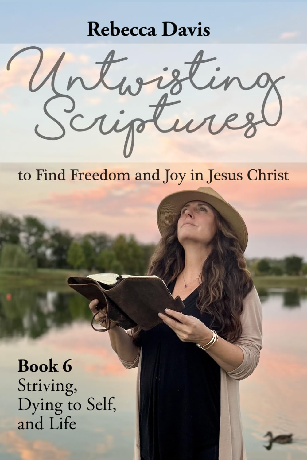 Amazon.com: Untwisting Scriptures to Find Freedom and Joy in Jesus Christ: Book 6 Striving ...
