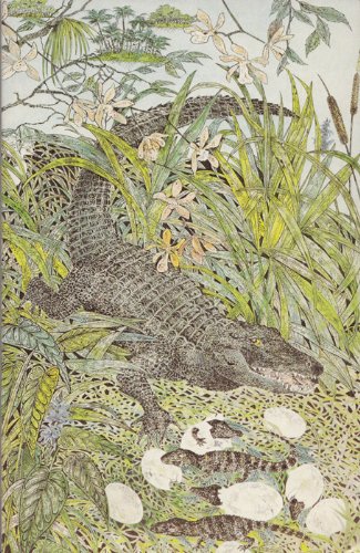 Everglades Wildguide: Jean Craighead George, Betty Fraser: Amazon.com ...