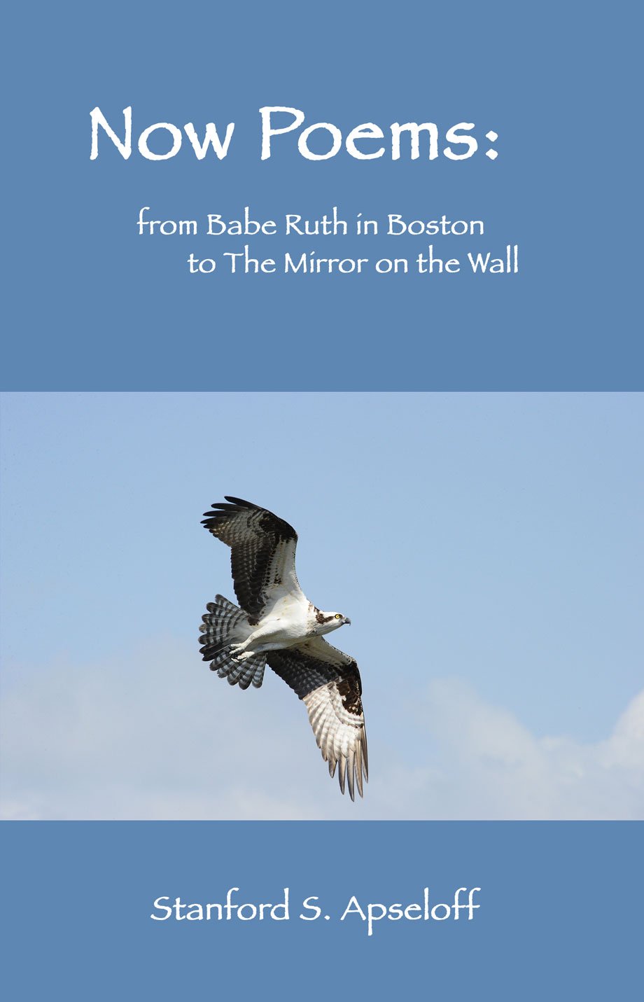 Amazon.com: Now Poems: from Babe Ruth in Boston to The Mirror on the ...