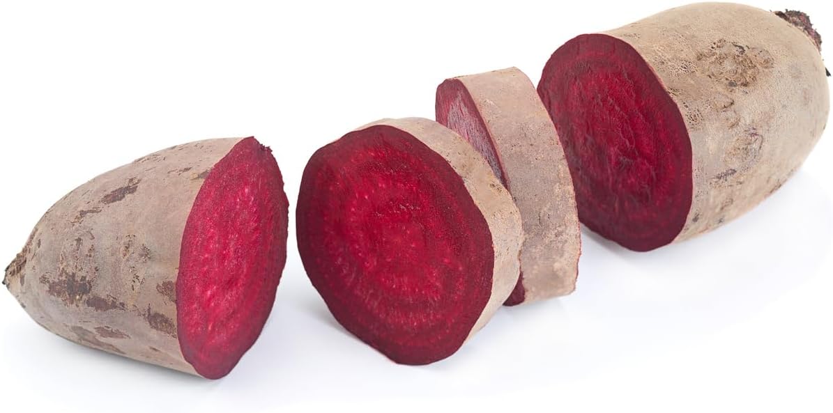 500 Samen lange Rote Beete Cylindra Beta vulgaris Rüben Bete : Amazon ...