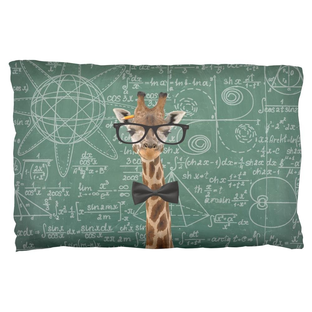 Amazon.com: Giraffe Geek Math Formulas Pillow Case Multi Standard One ...