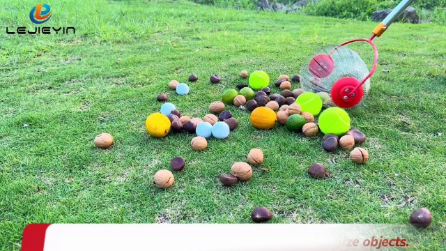 Watch Large Nut Gatherer Rolling Nut Harvester Ball Picker on Amazon Live