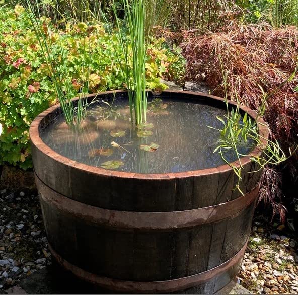 WATERTIGHT OAK HALF WINE BARREL ICE BUCKET FISH WILD POND LILLY WATER ...