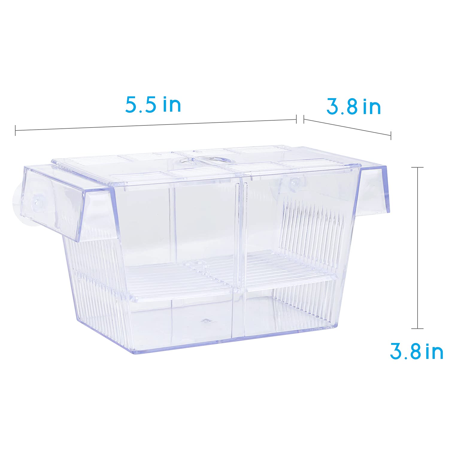 Buy Pawfly Fish Breeding Box Tank Hatchery Incubator Aquarium Isolation ...
