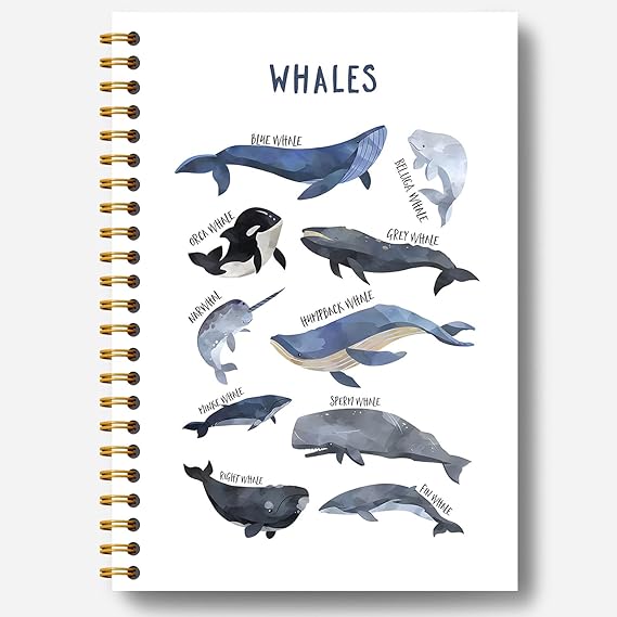 Amazon.com : Guymn Whale Notebook - Ocean Notebook, Ocean Journal ...