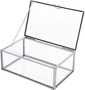 Amazon.com: HighFree Vintage Glass Box with Lid - Clear Jewelry Glass ...