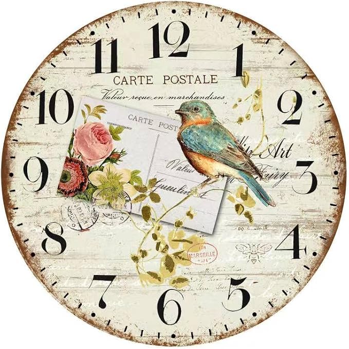 Amazon.com: N&Life 12 Inch Silent Non-Ticking Colorful Bird Design Wall ...