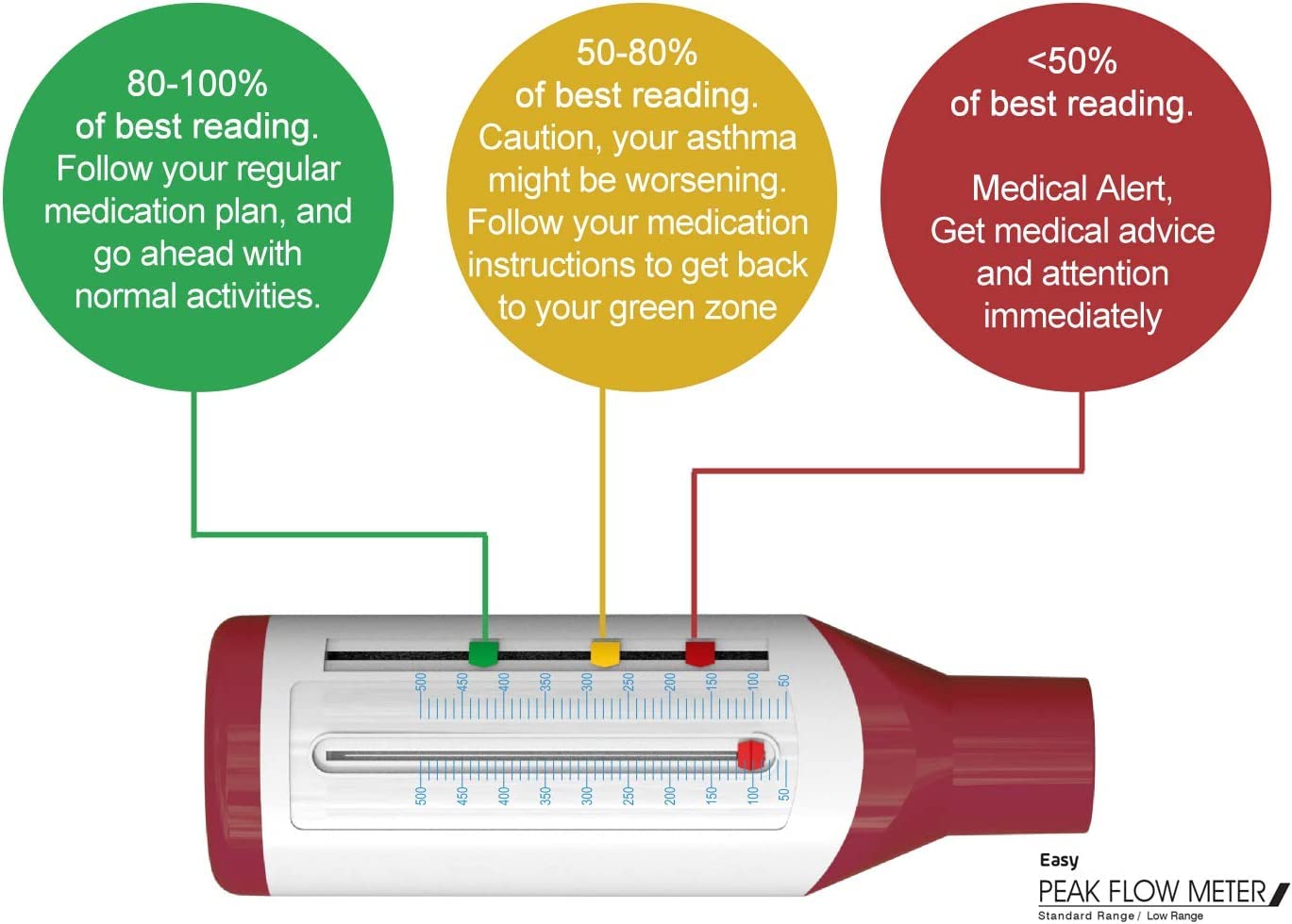 Peak Expiratory Flow Chart