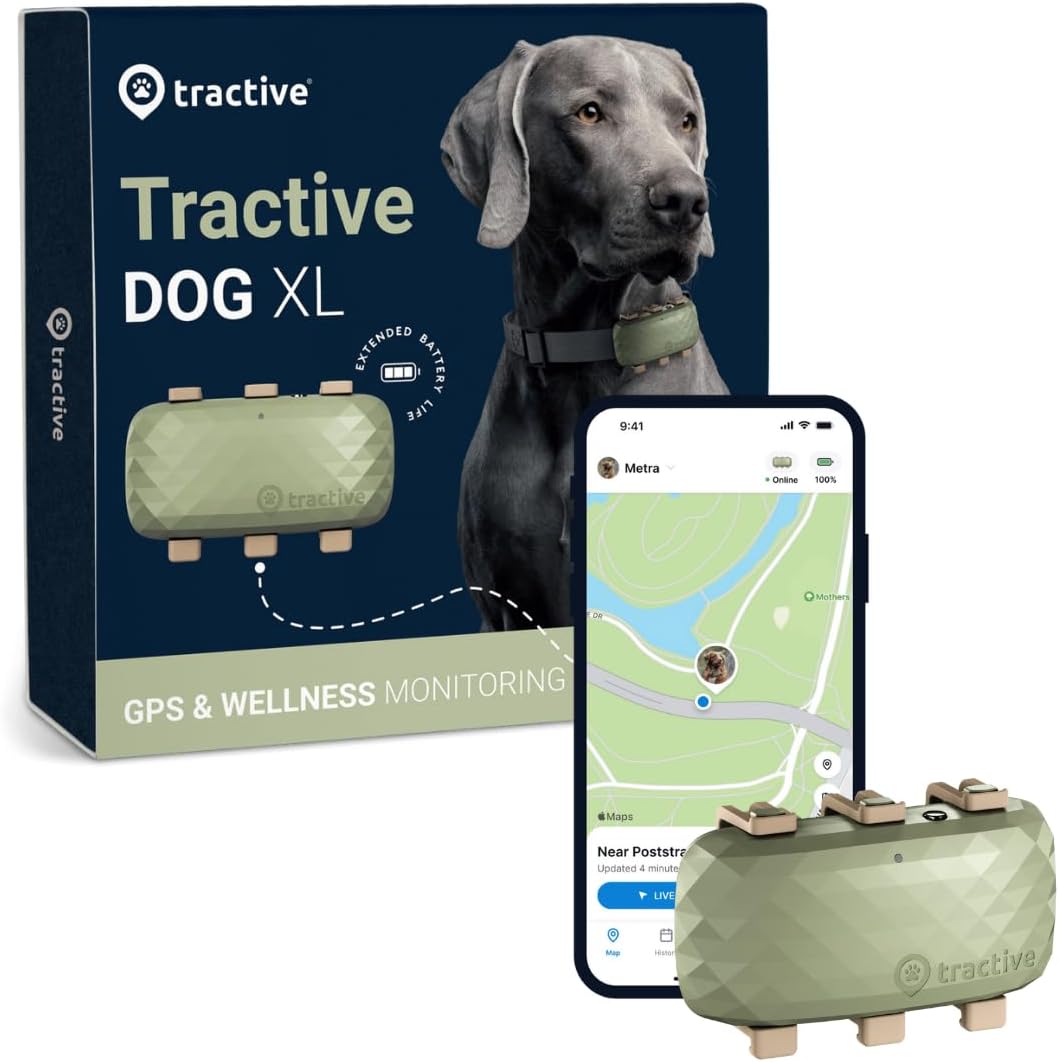 Amazon.com: PitPat GPS Tracker for Dogs - No Subscription Fees ...