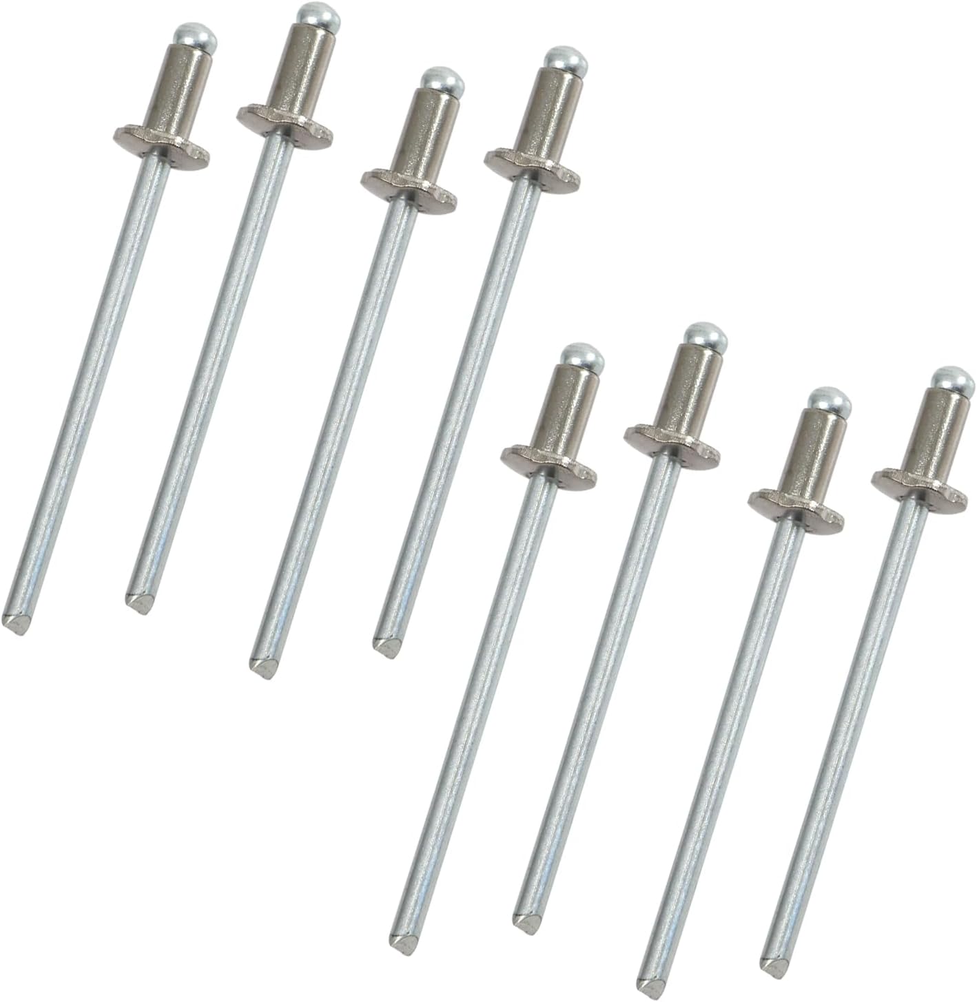 Amazon.com: Cahuczlhoz 8 Pcs Stainless Steel Rosette Rivets VIN Door ...